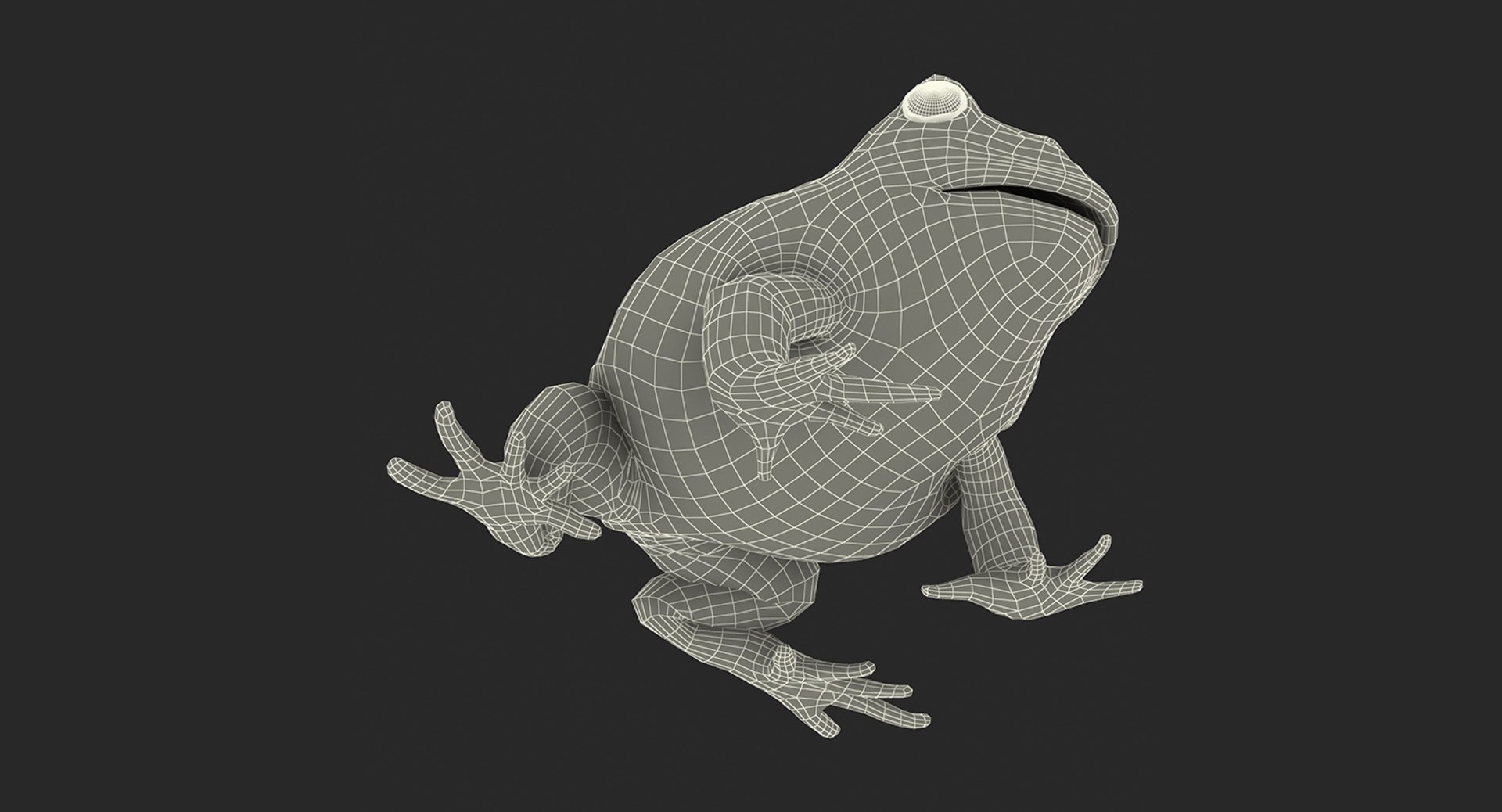 3D Frogs 3 Model - TurboSquid 1236455