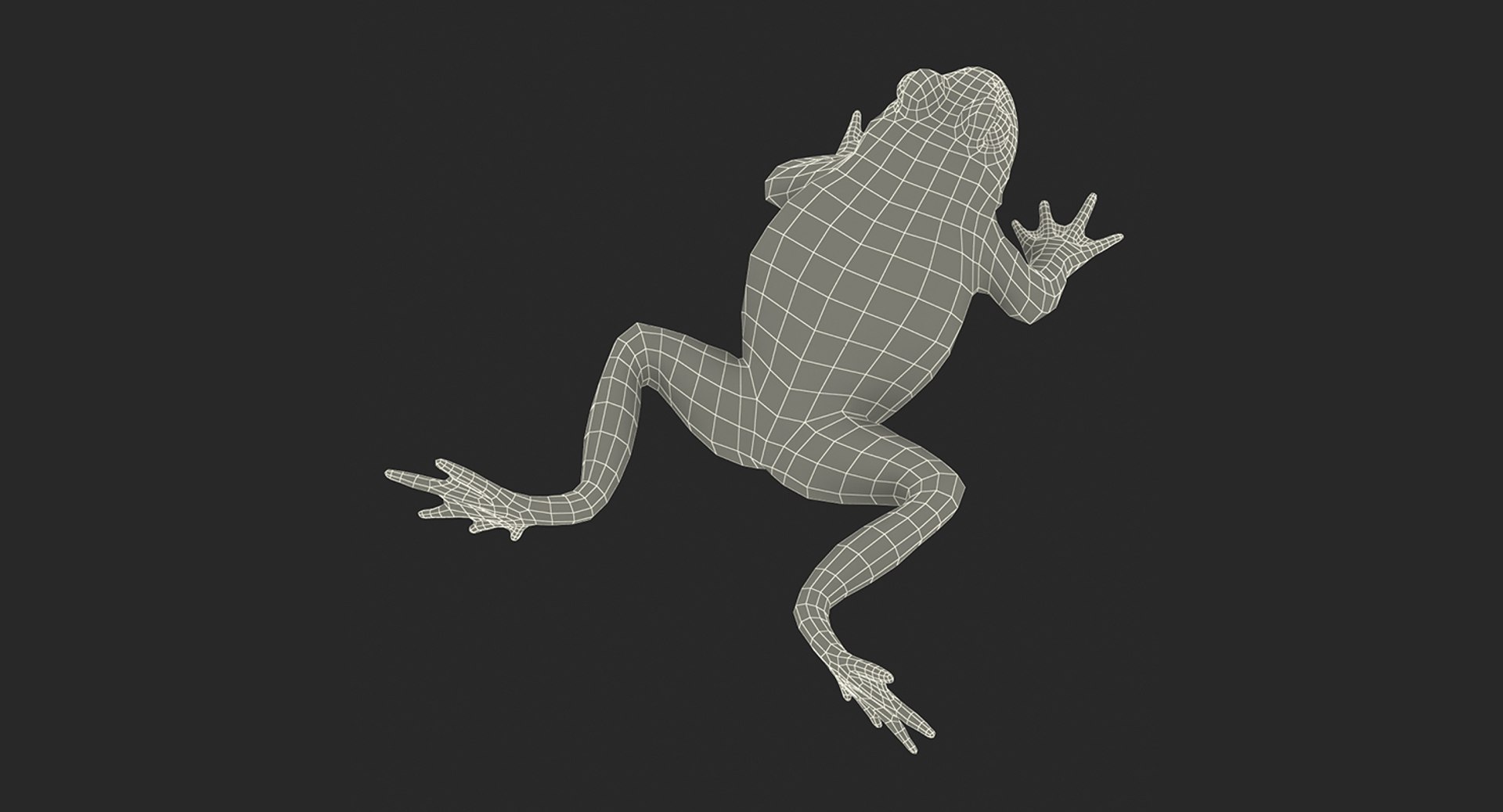 3D Frogs 3 Model - TurboSquid 1236455