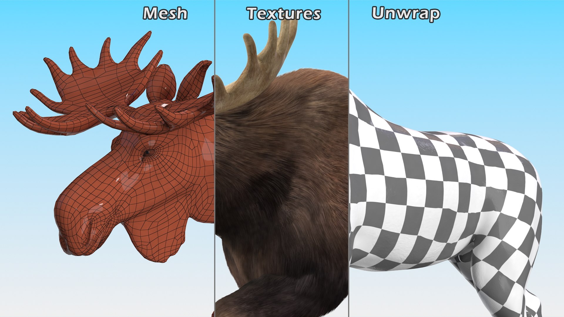 Walking Moose Fur Model - TurboSquid 2094442