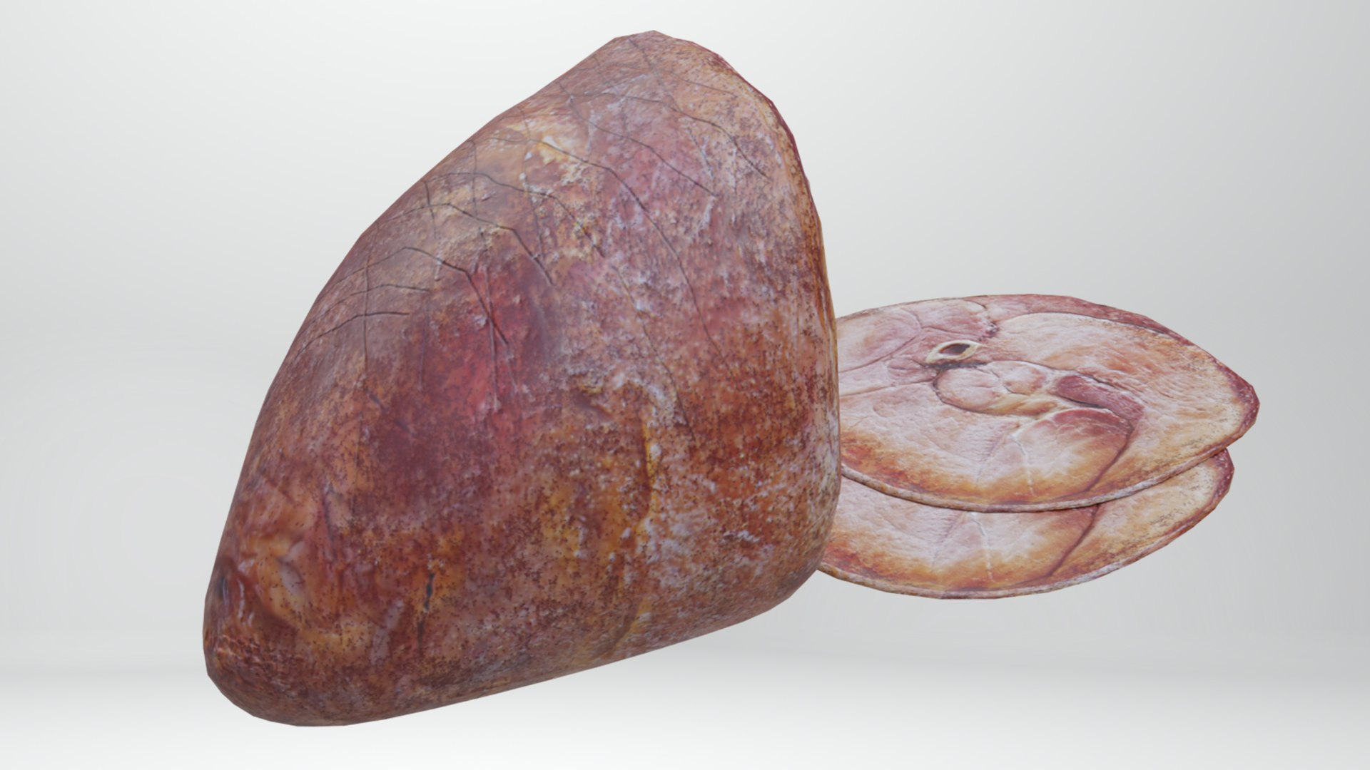 HAM 3D Model - TurboSquid 1950758