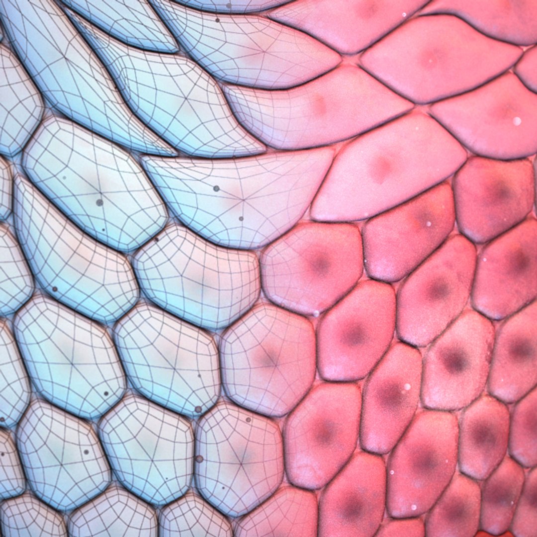 Layers Cells 3D Model - TurboSquid 1307800