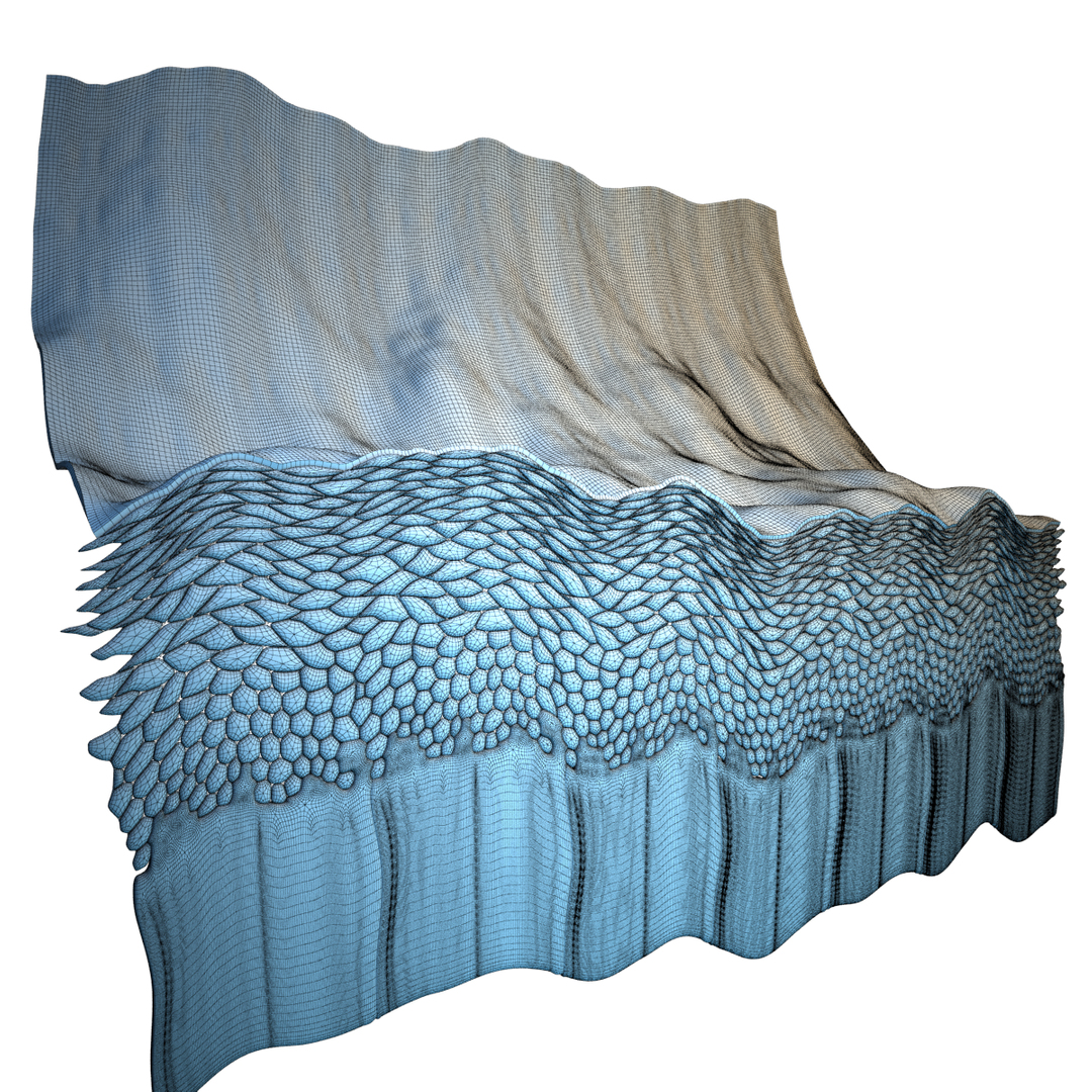 Layers Cells 3D Model - TurboSquid 1307800