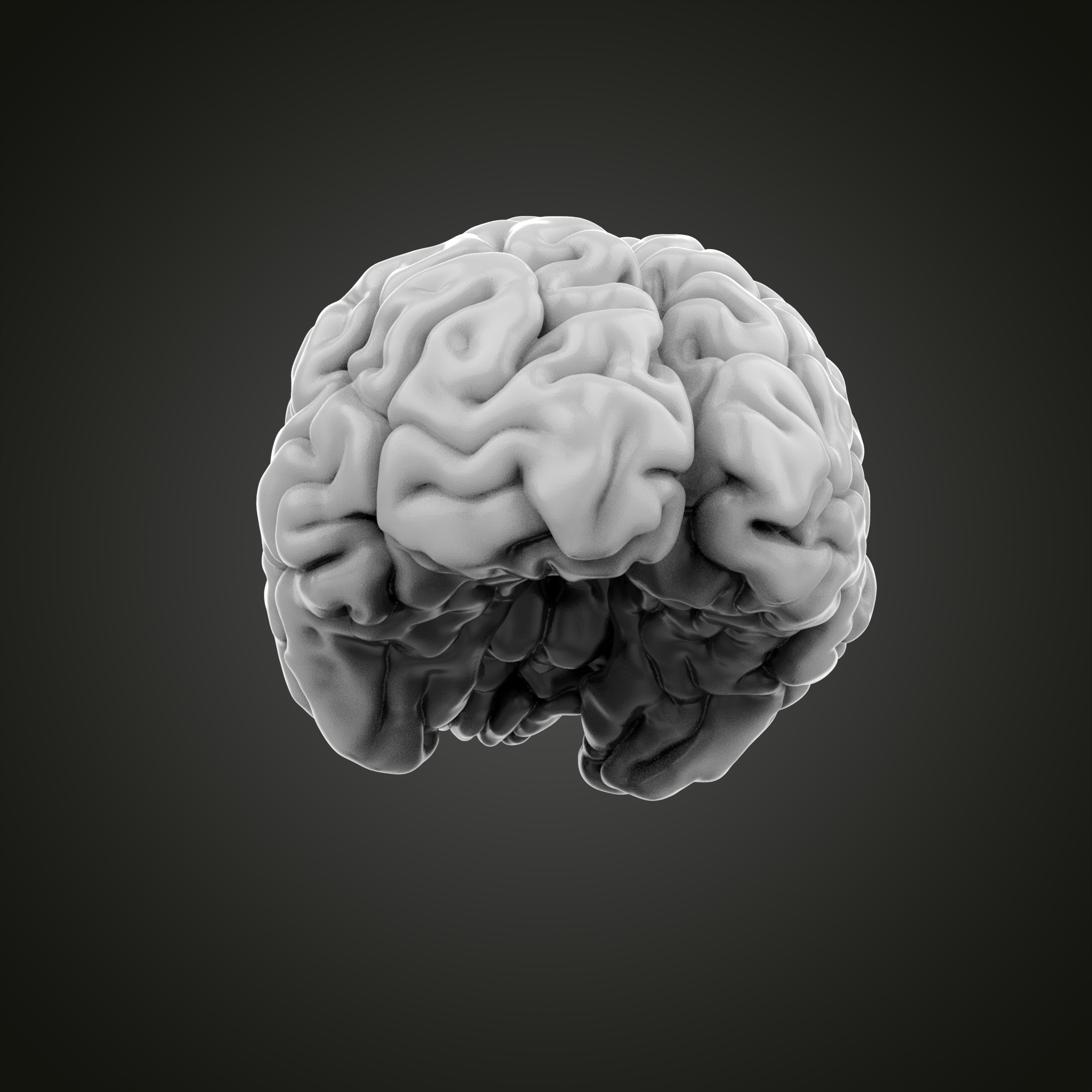 Brain 3D model - TurboSquid 1878191