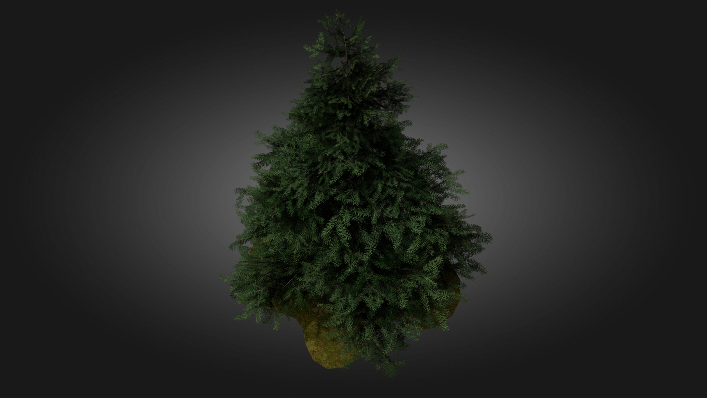 3D Scan Based Spruce Tree - PBR model - TurboSquid 1949585