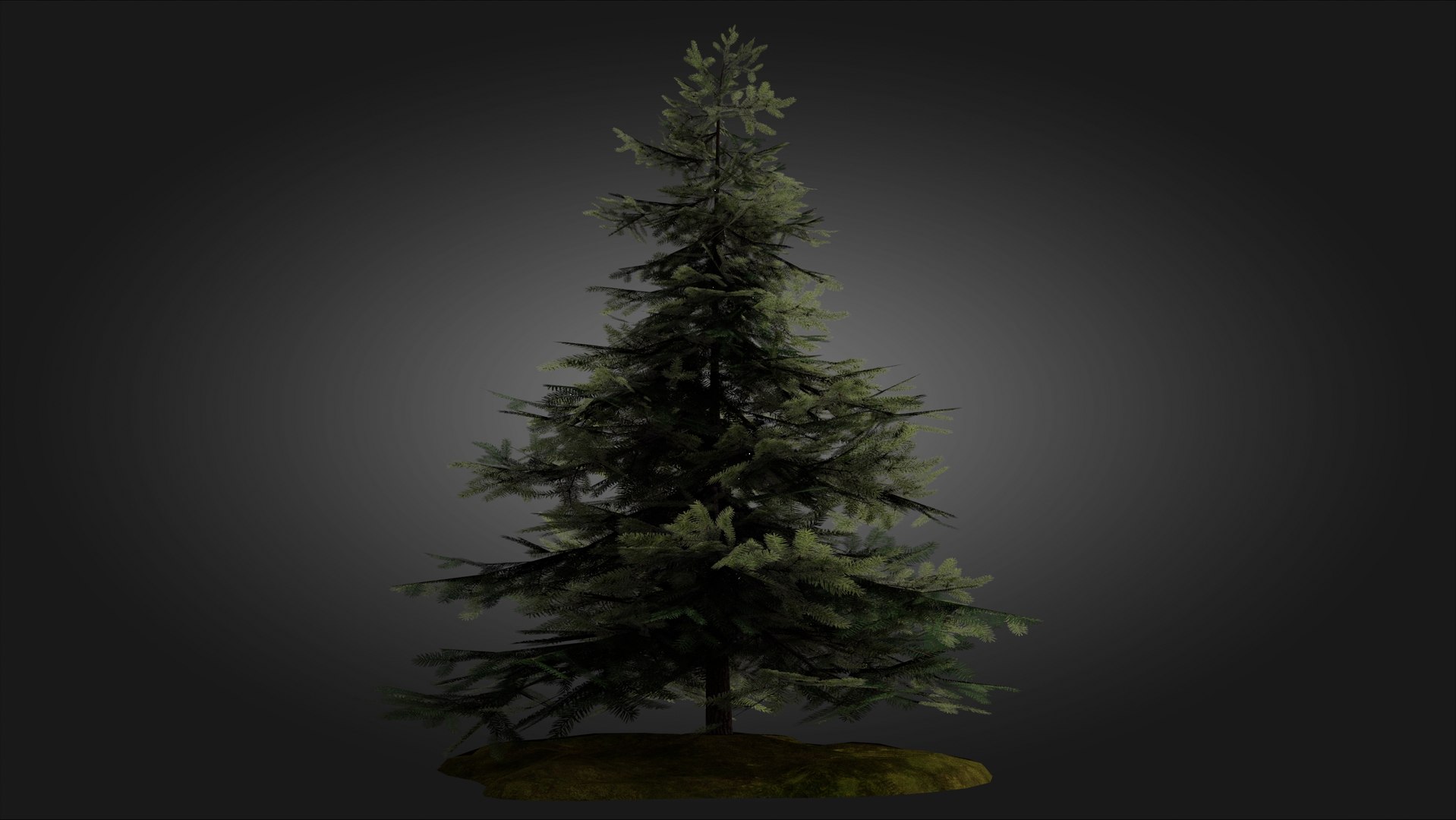3D Scan Based Spruce Tree - PBR model - TurboSquid 1949585
