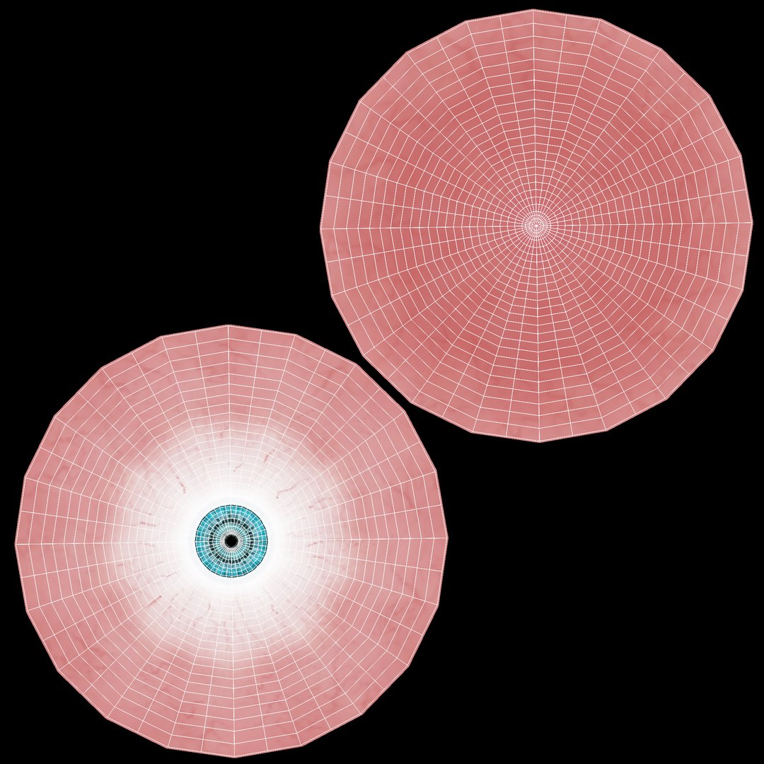 Realistic Human Eye Ball 3D Model - TurboSquid 1382780