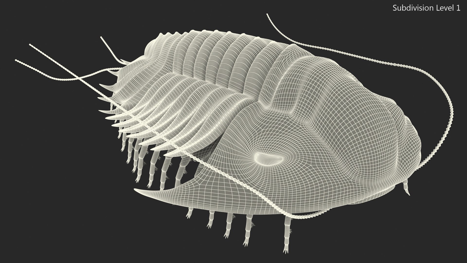 Trilobite fur rigged 3D - TurboSquid 1472453