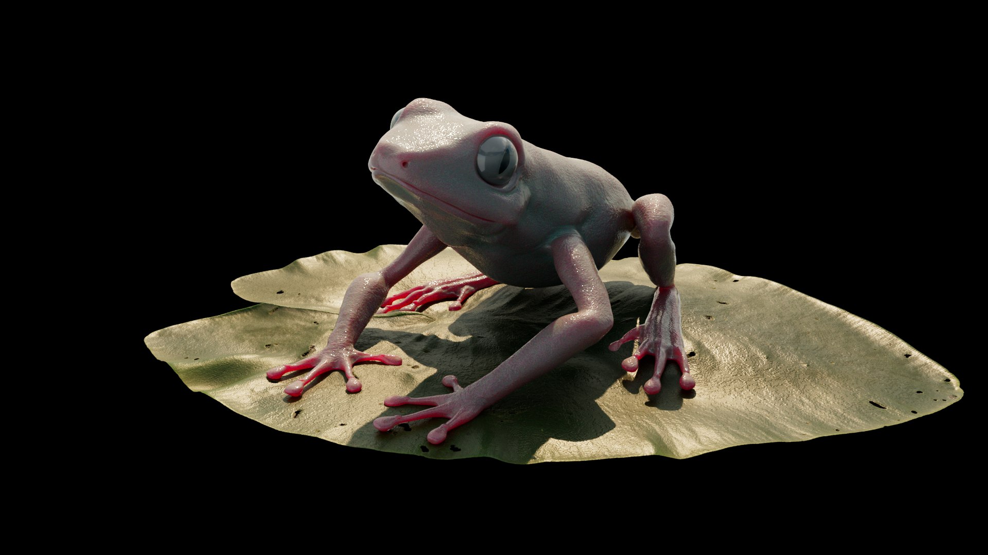 Dark Poison Frog Ready To Rig Model - TurboSquid 2036290