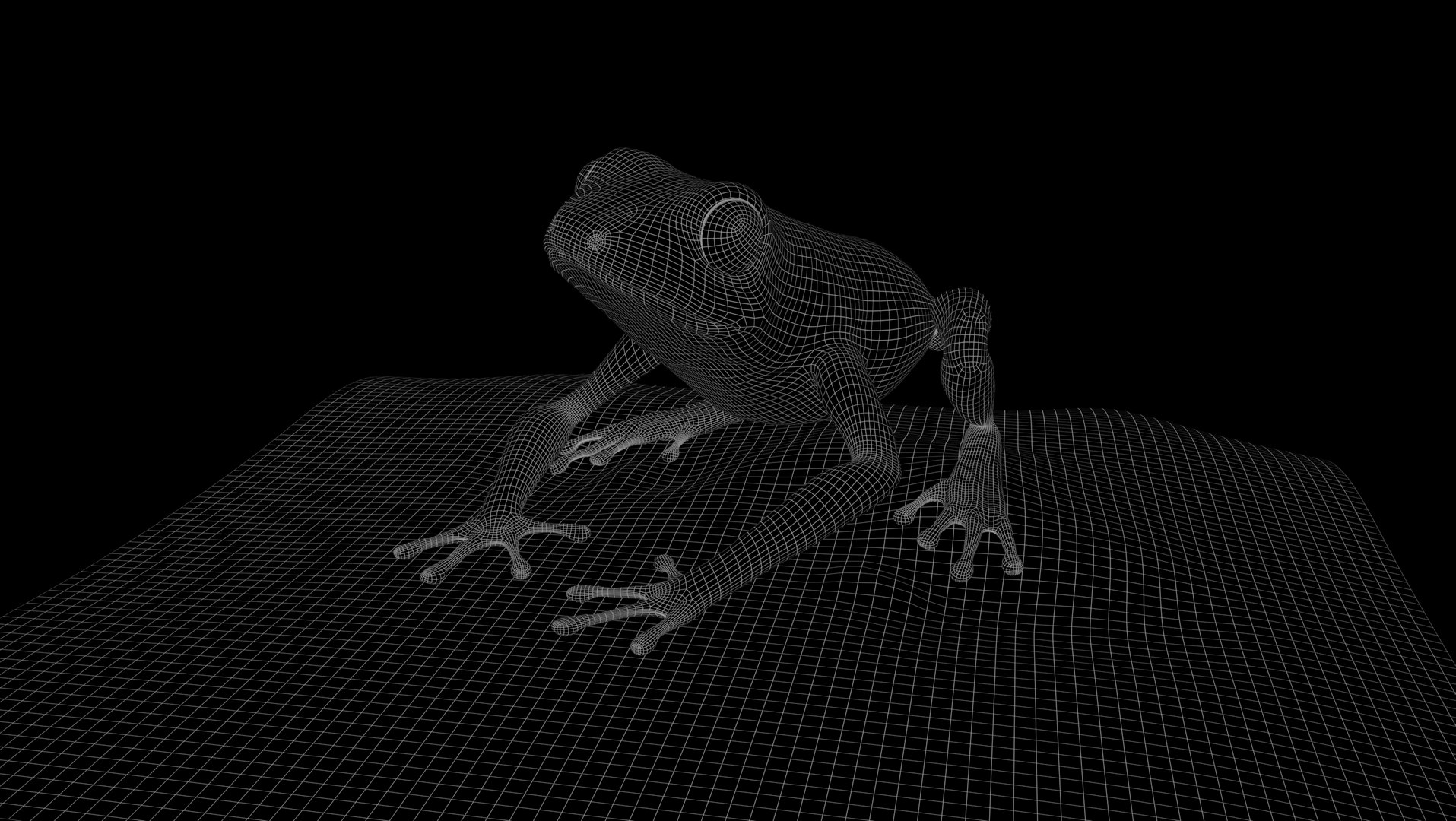Dark Poison Frog Ready To Rig Model - TurboSquid 2036290