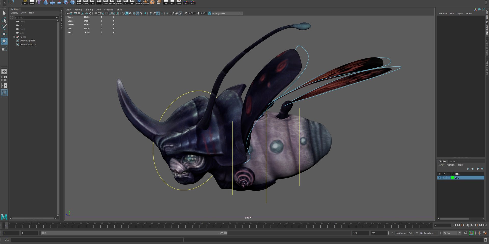 Fly Bug 3D Model - TurboSquid 1580779
