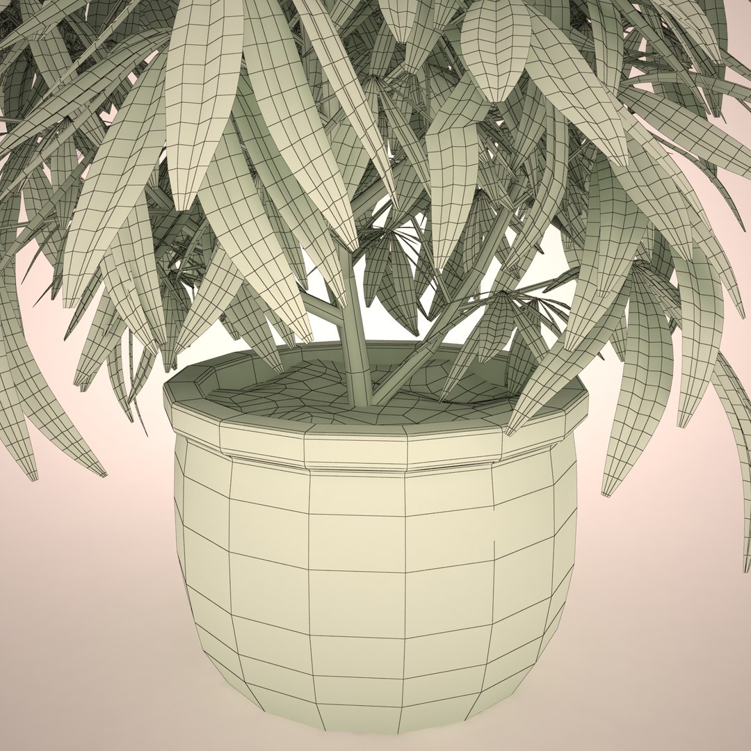 3d Cannabis Sativa Plant Pot Model