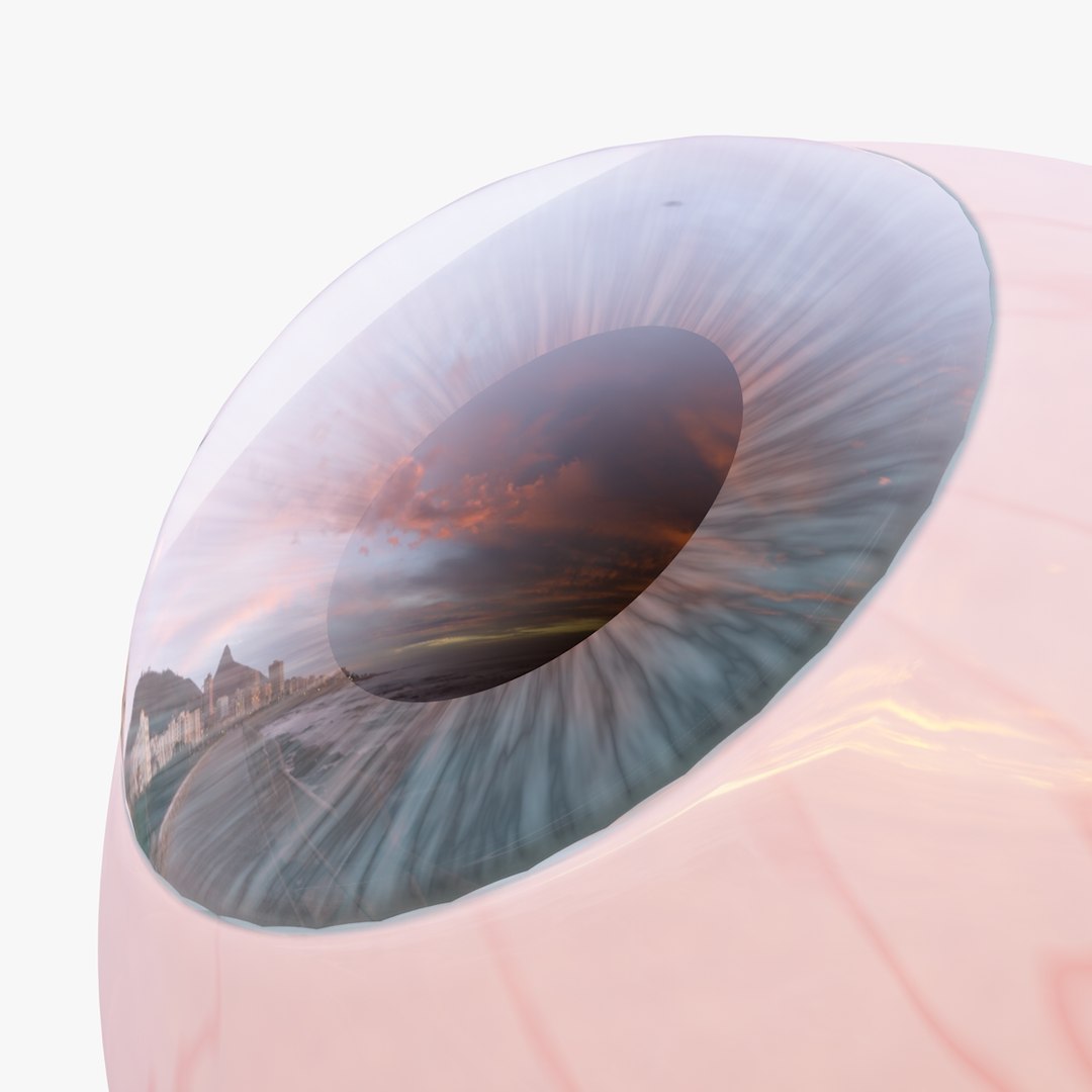 Human Eye 3D Model - TurboSquid 1303492