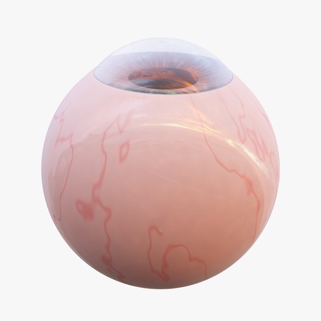 Human Eye 3D Model - TurboSquid 1303492