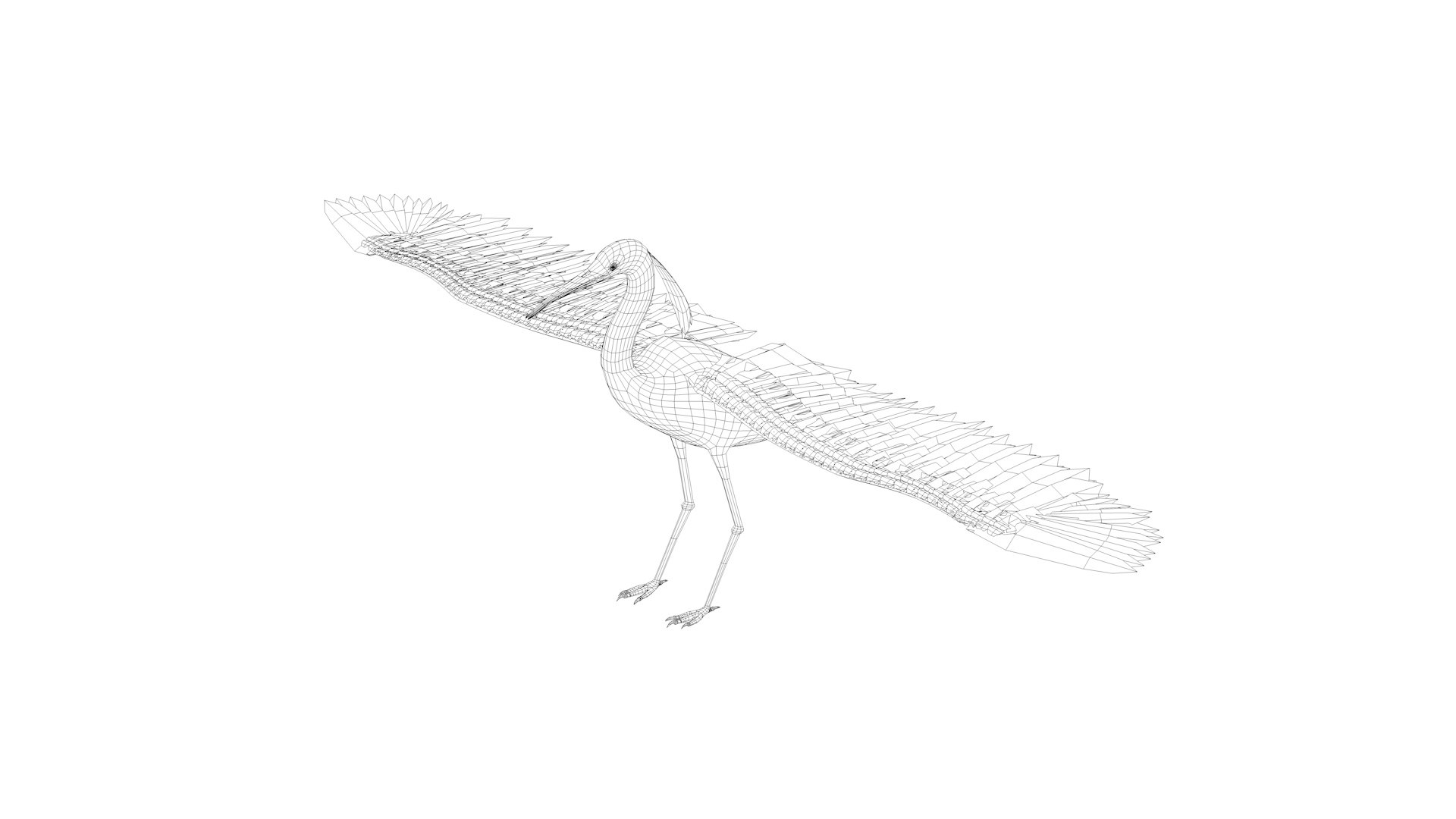 3D Bird Egret Model - TurboSquid 1536384