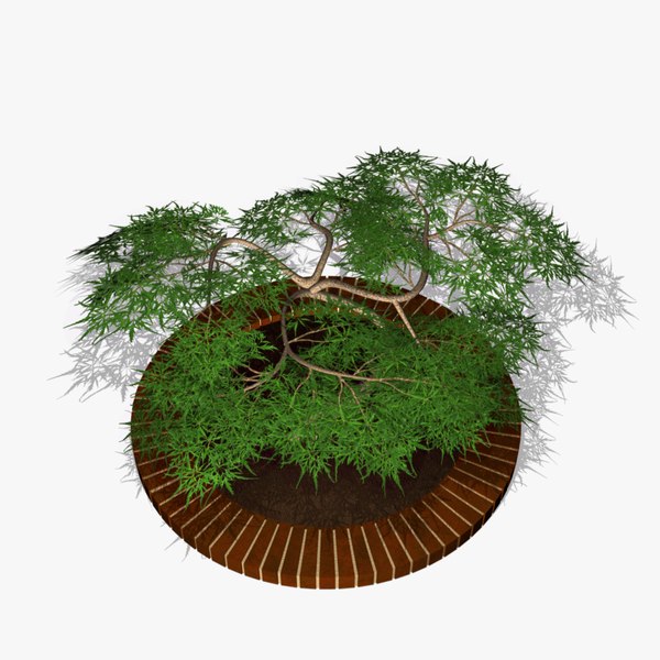 Tree DXF Models for Download | TurboSquid