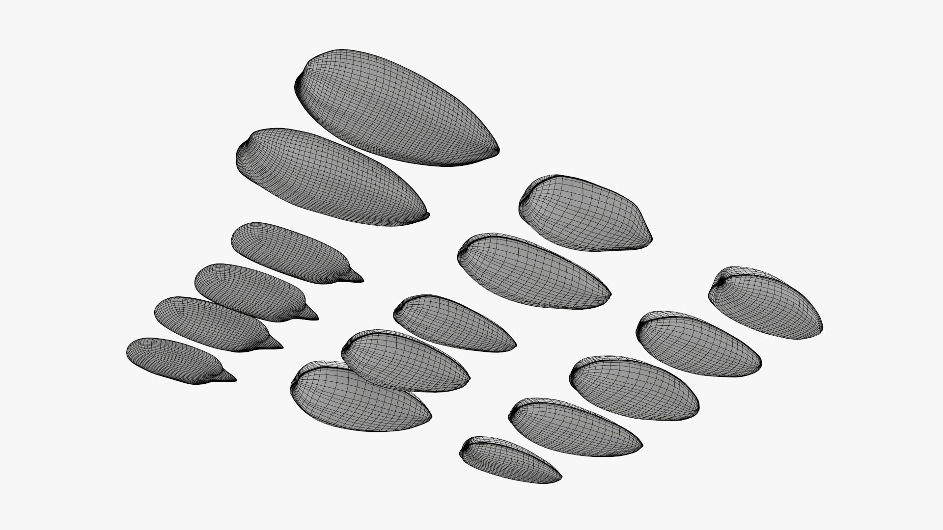 3D Seed Sunflower Model - TurboSquid 1621717