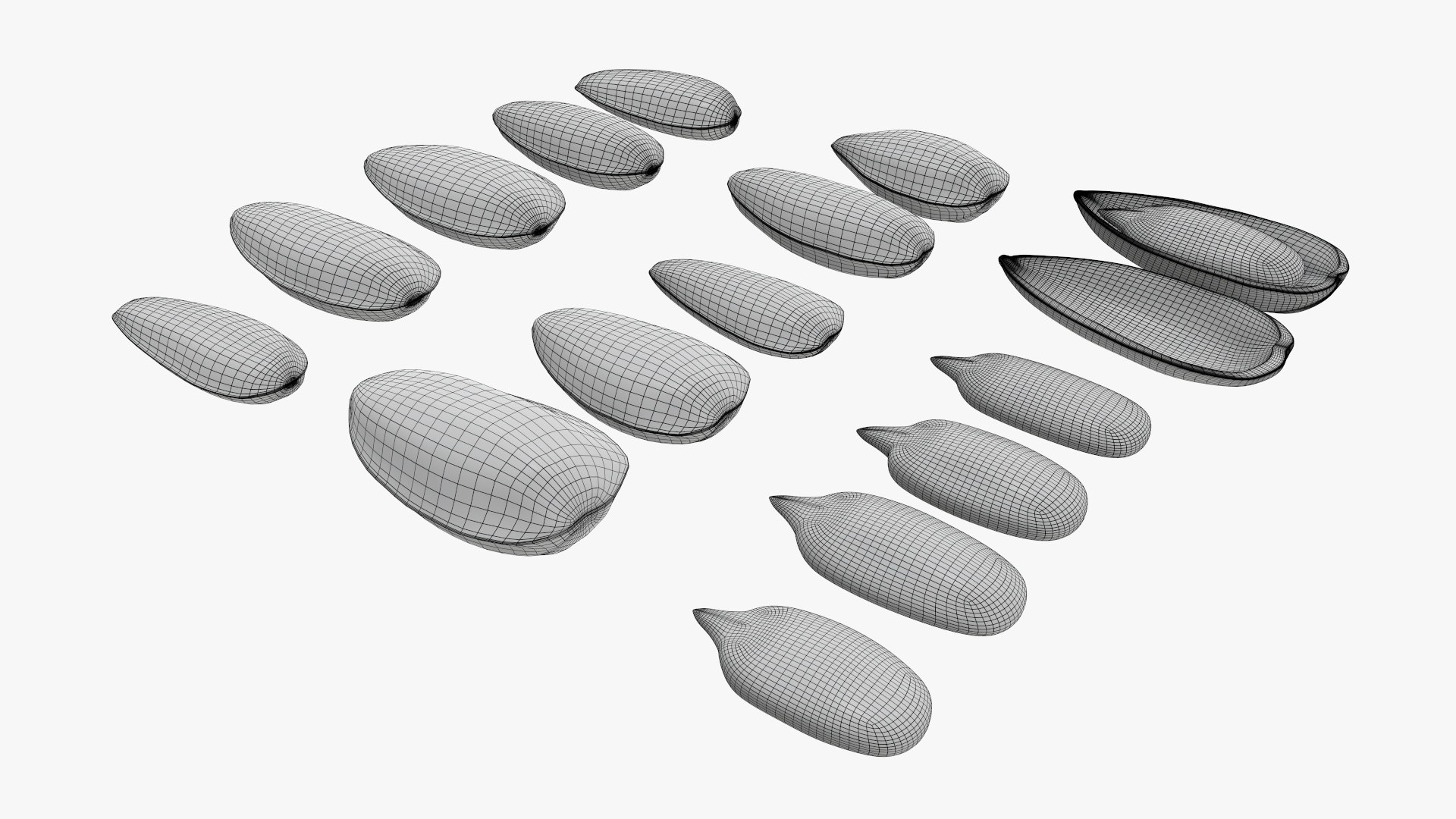 3D Seed Sunflower Model - TurboSquid 1621717