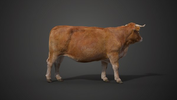 modelo 3d Ganado Vaca Animada - TurboSquid 2078886