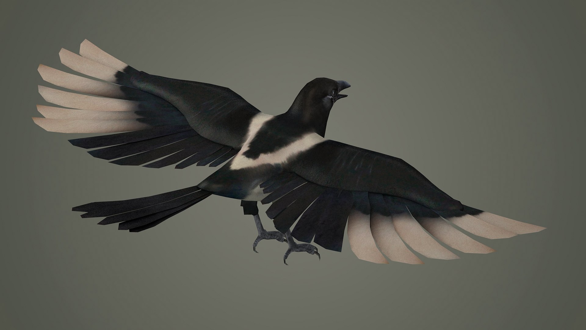 3D Bird Wildlife Nature Ornithology Wild Animal - TurboSquid 2216216