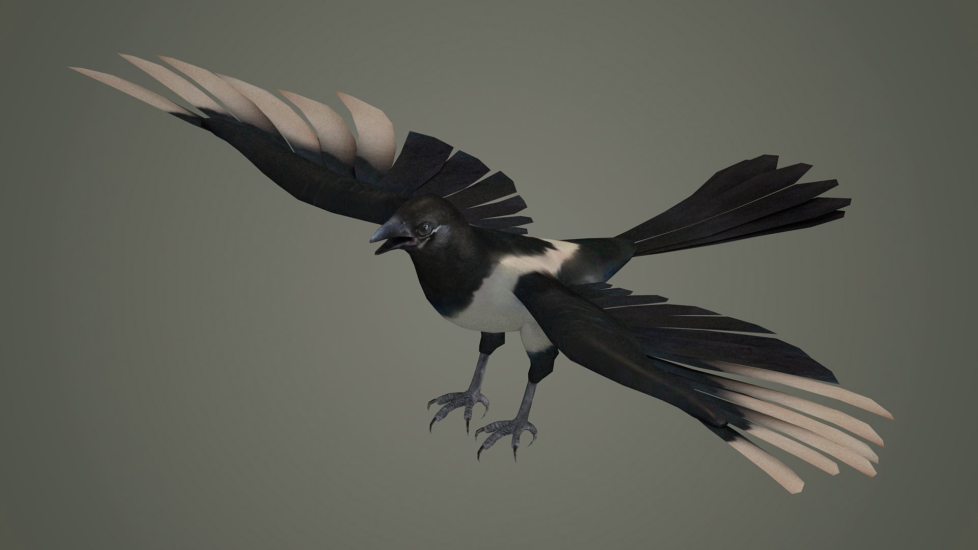 3D Bird Wildlife Nature Ornithology Wild Animal - TurboSquid 2216216
