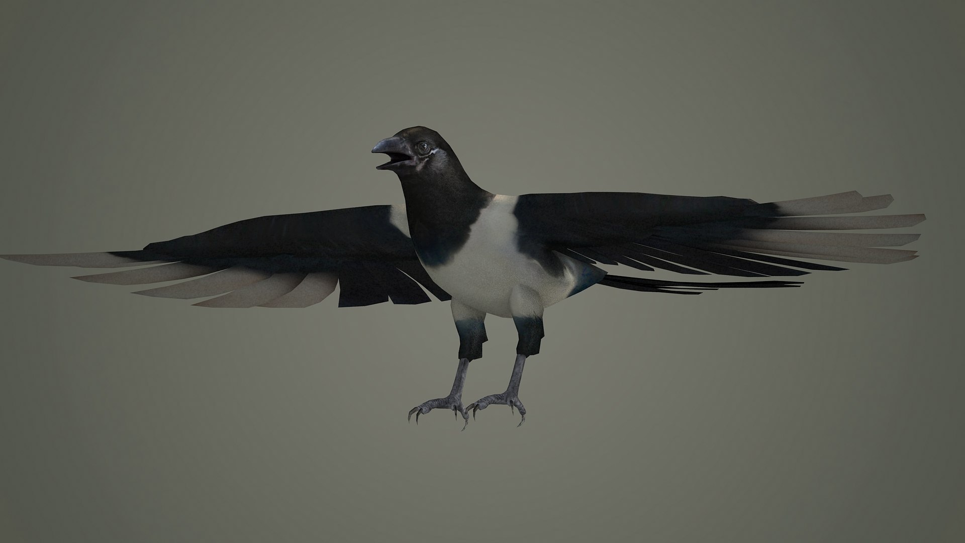 3D Bird Wildlife Nature Ornithology Wild Animal - TurboSquid 2216216