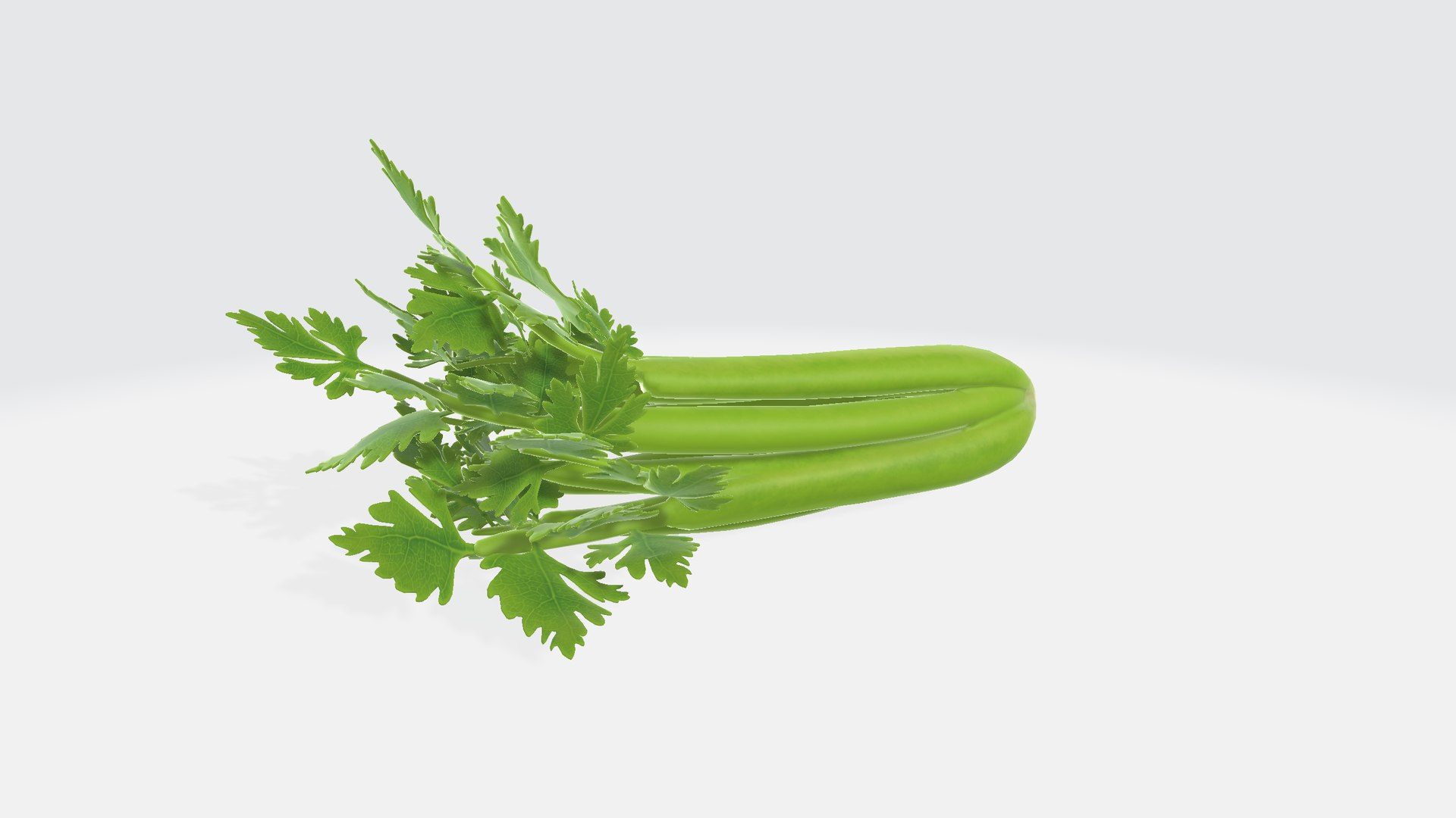 Celery Model - TurboSquid 2347323