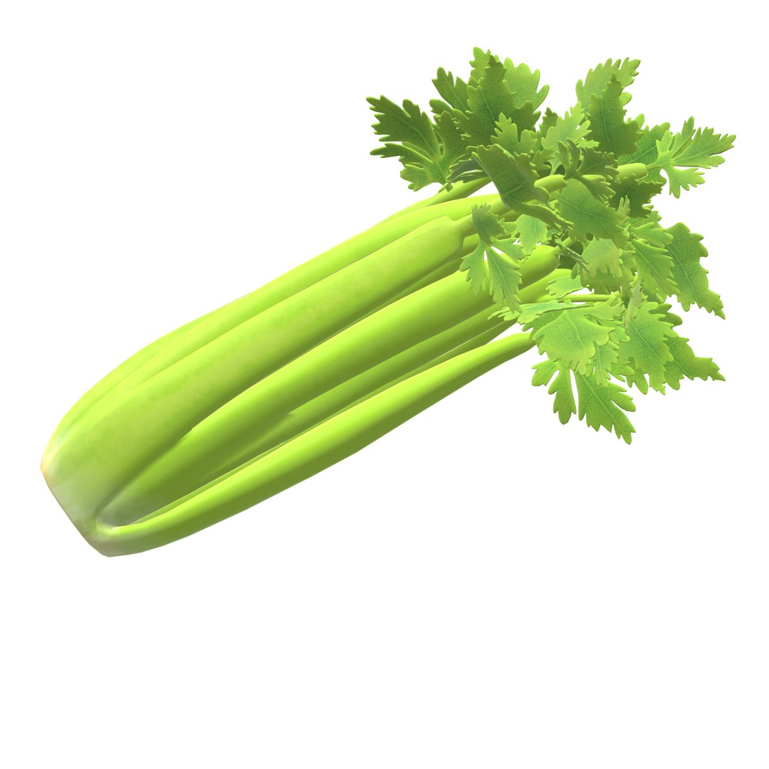 Celery Model - TurboSquid 2347323
