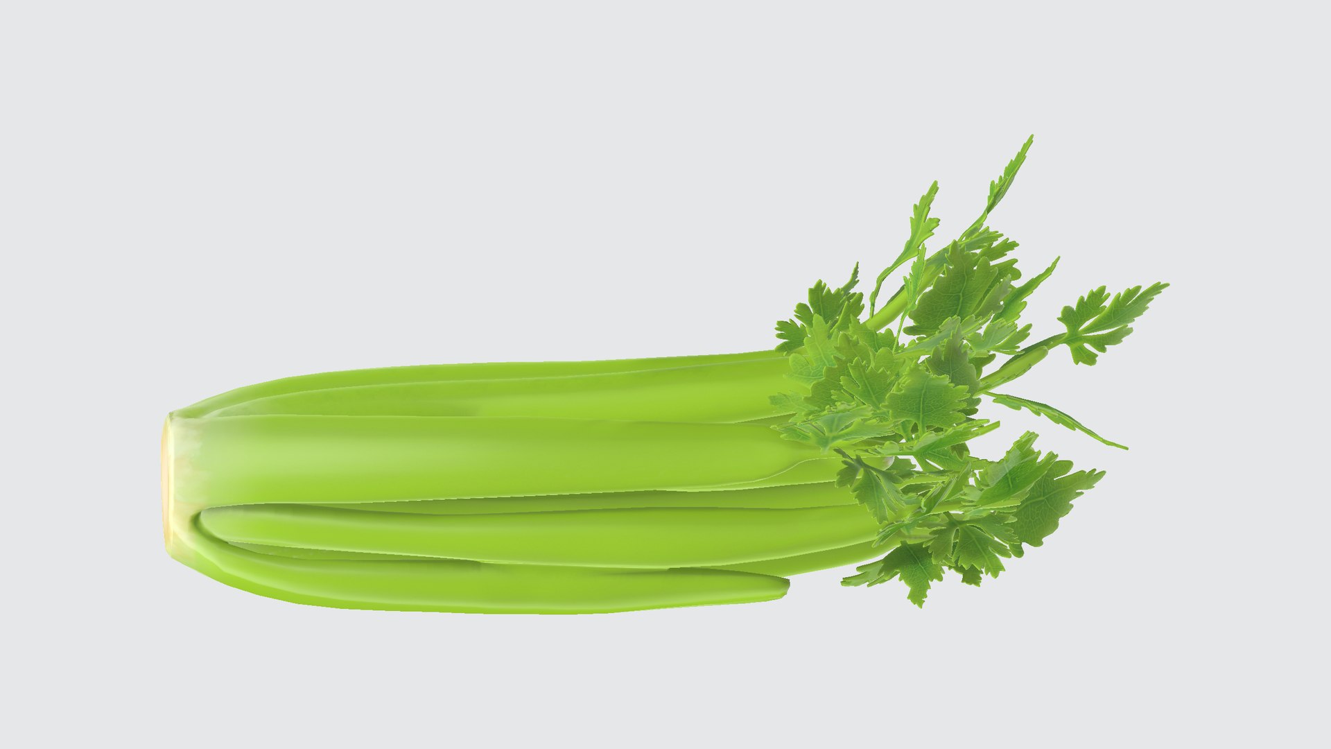Celery Model - TurboSquid 2347323