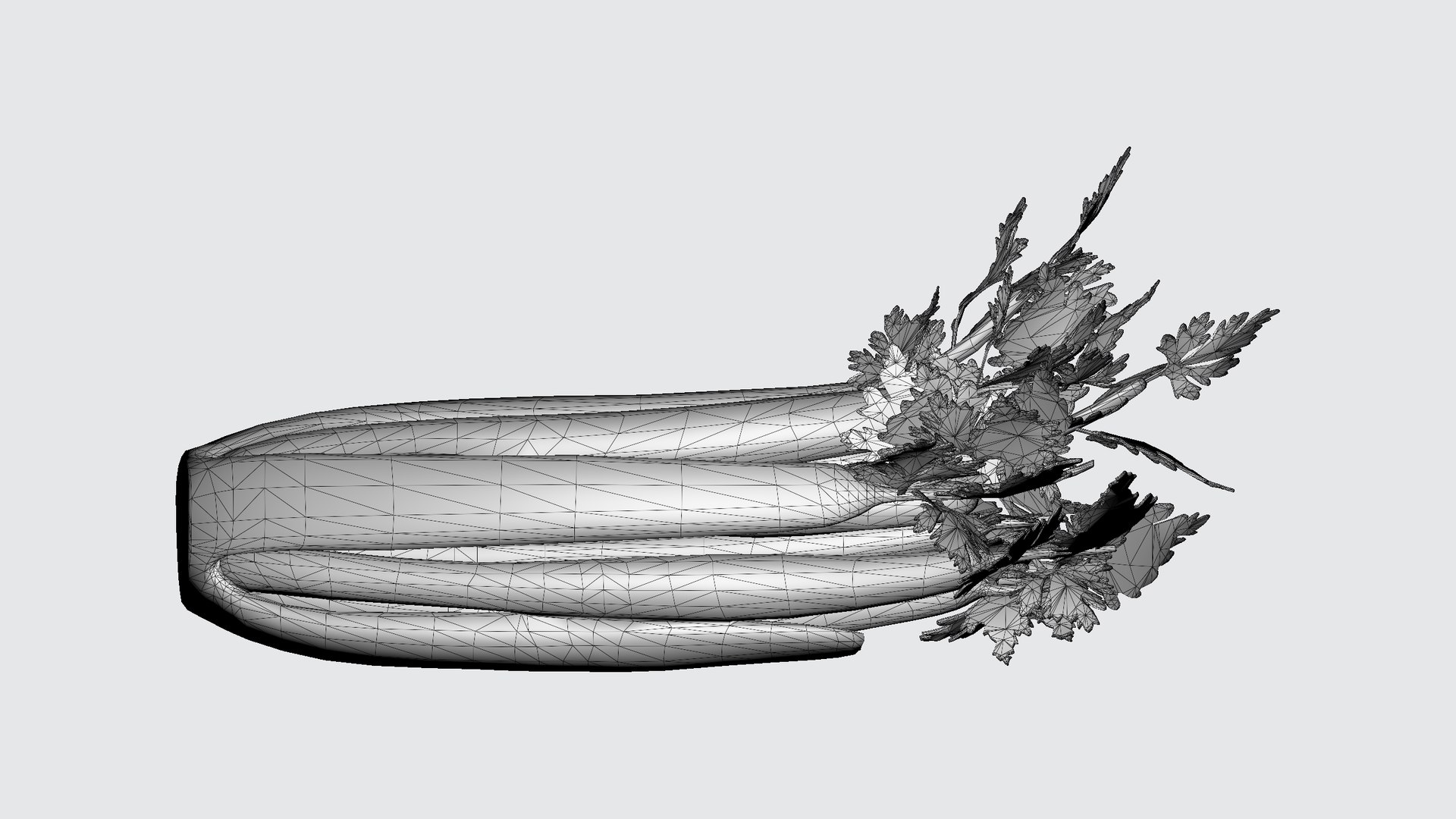 Celery Model - TurboSquid 2347323
