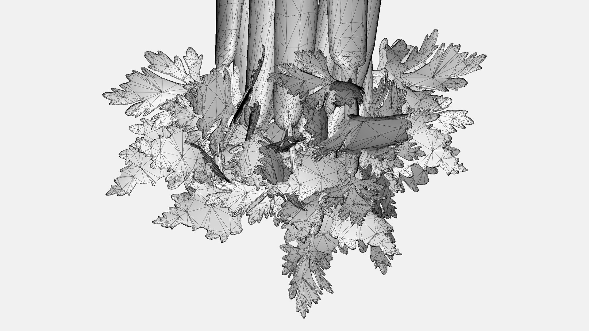 Celery Model - TurboSquid 2347323