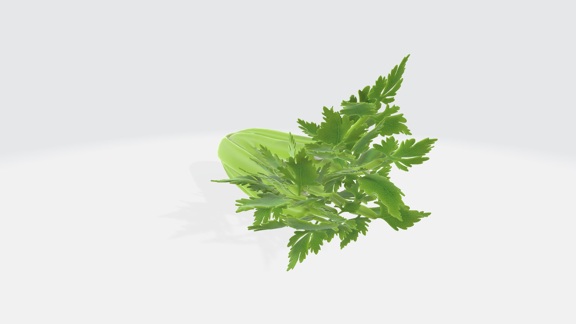 Celery Model - TurboSquid 2347323