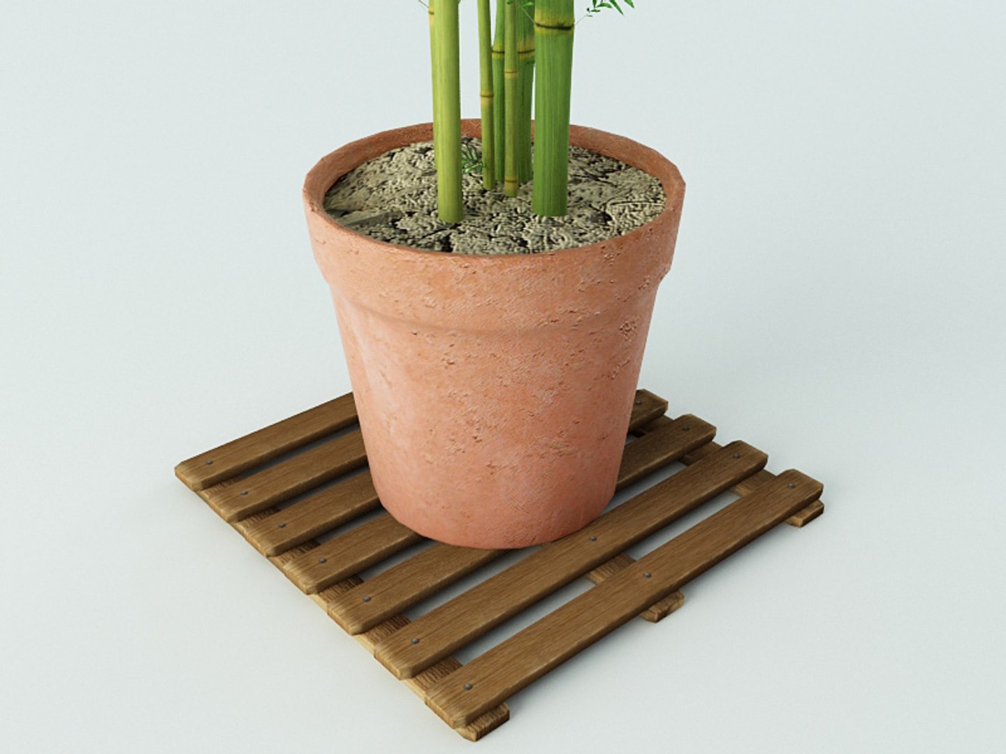 3d Bamboo Bush Model