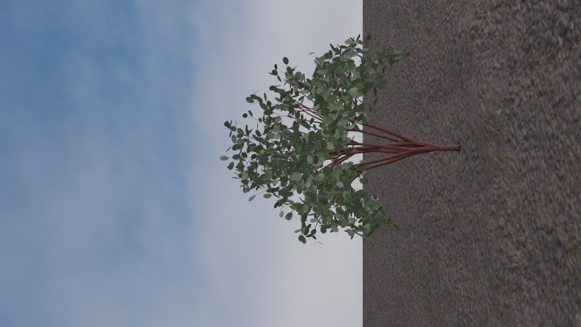 3D Trees Model - TurboSquid 1850703