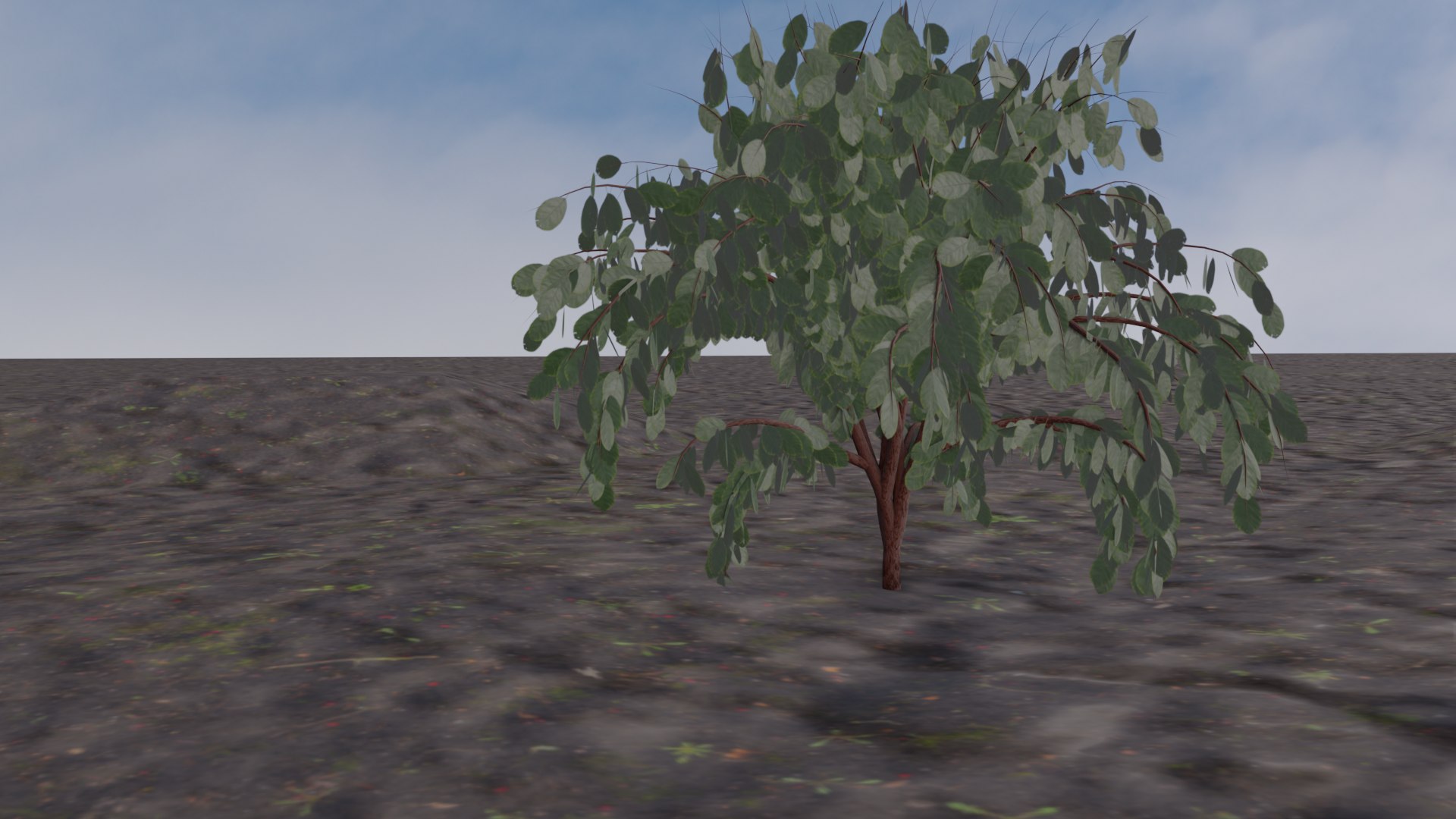 3D Trees Model - TurboSquid 1850703