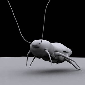 Free 3D Bug Models - Available For Download On TurboSquid