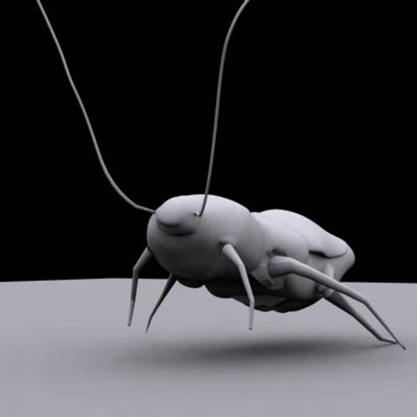 modelo 3d ERROR MESH.3DS gratis - TurboSquid 238606