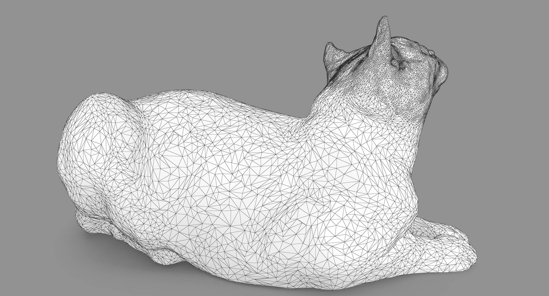 Cat Abyssinian 3D Model - TurboSquid 1329472