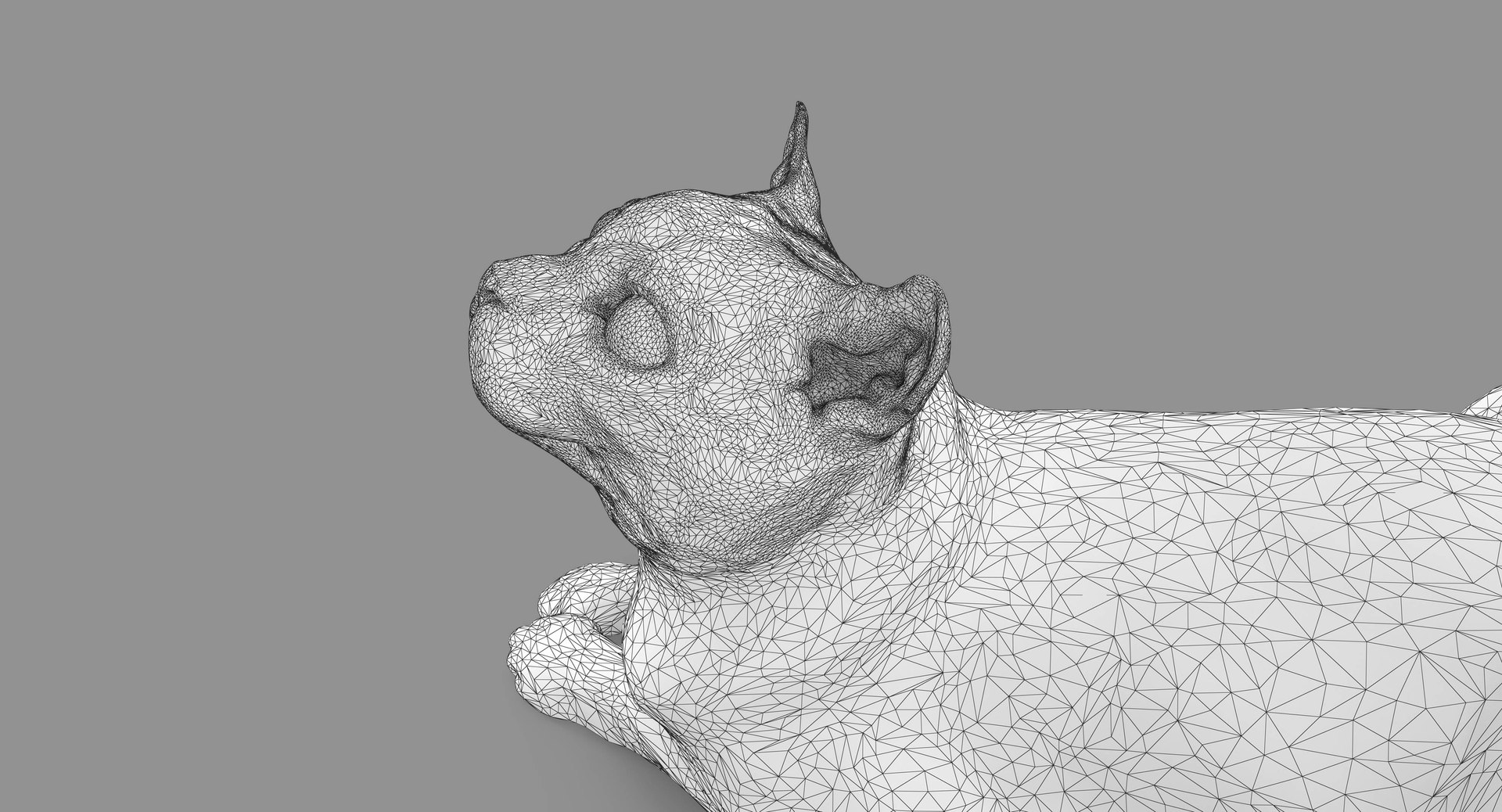 Cat Abyssinian 3D Model - TurboSquid 1329472