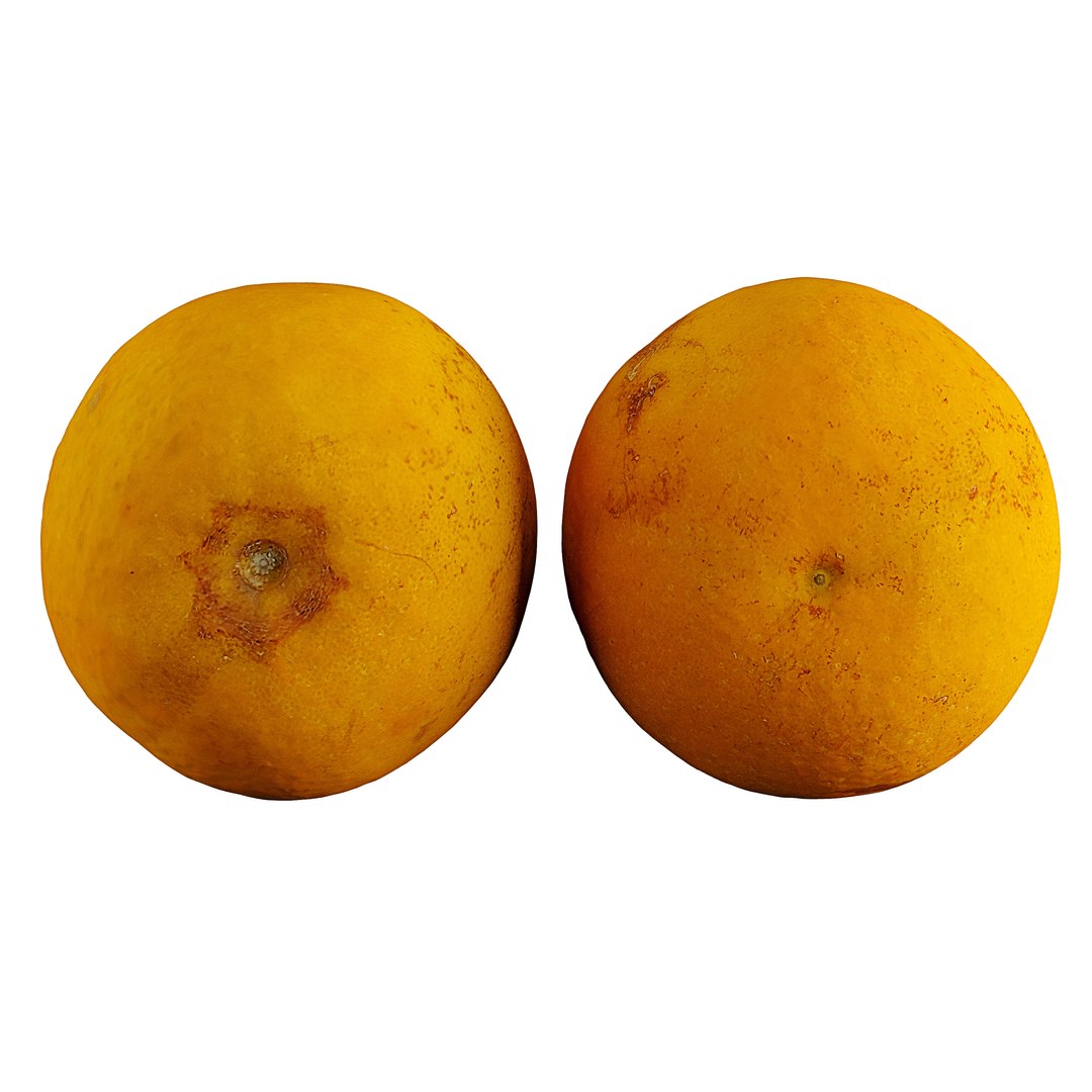 3D Orange model - TurboSquid 2057155