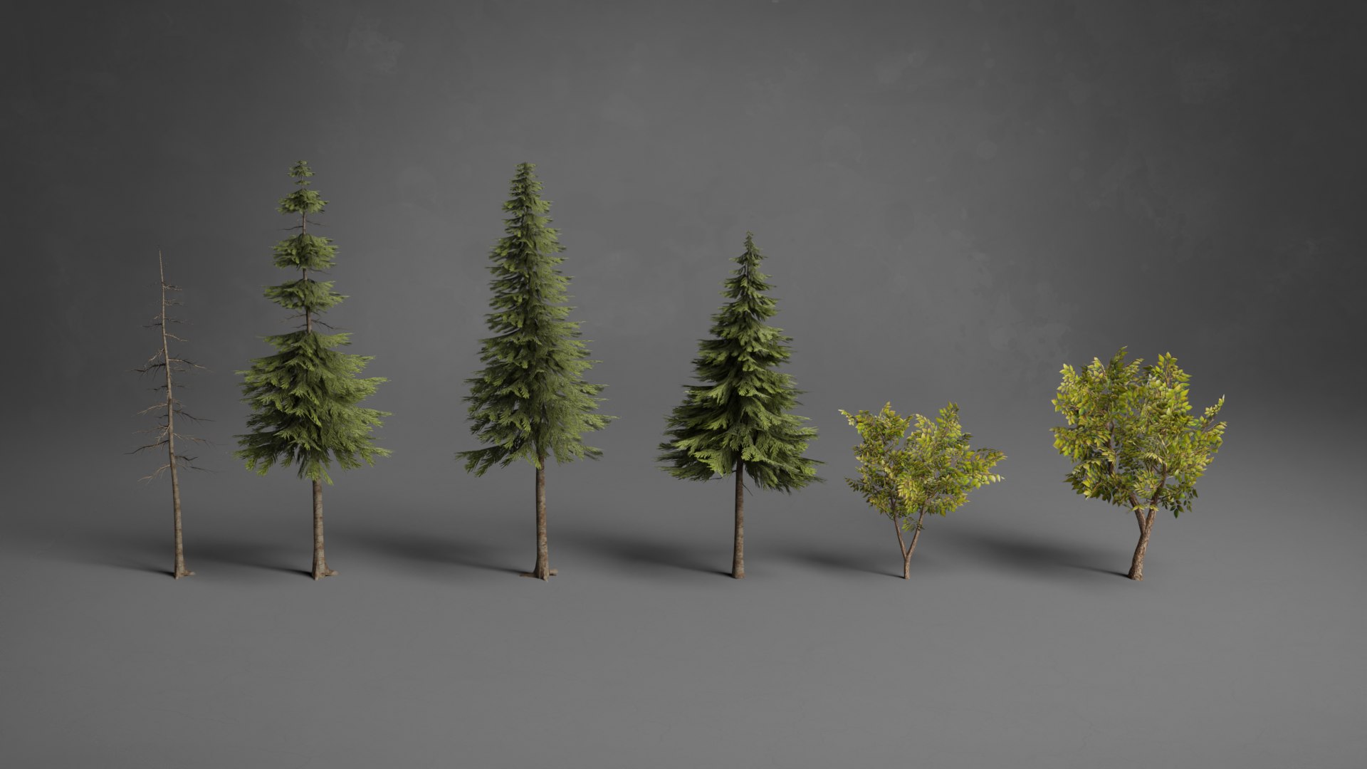 3D Stylized Trees - TurboSquid 2272492