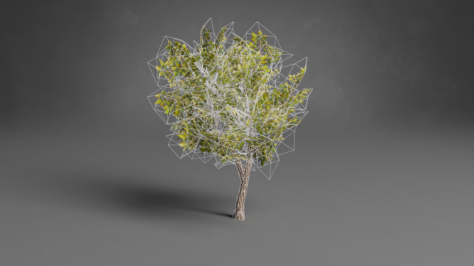 3D Stylized Trees - TurboSquid 2272492