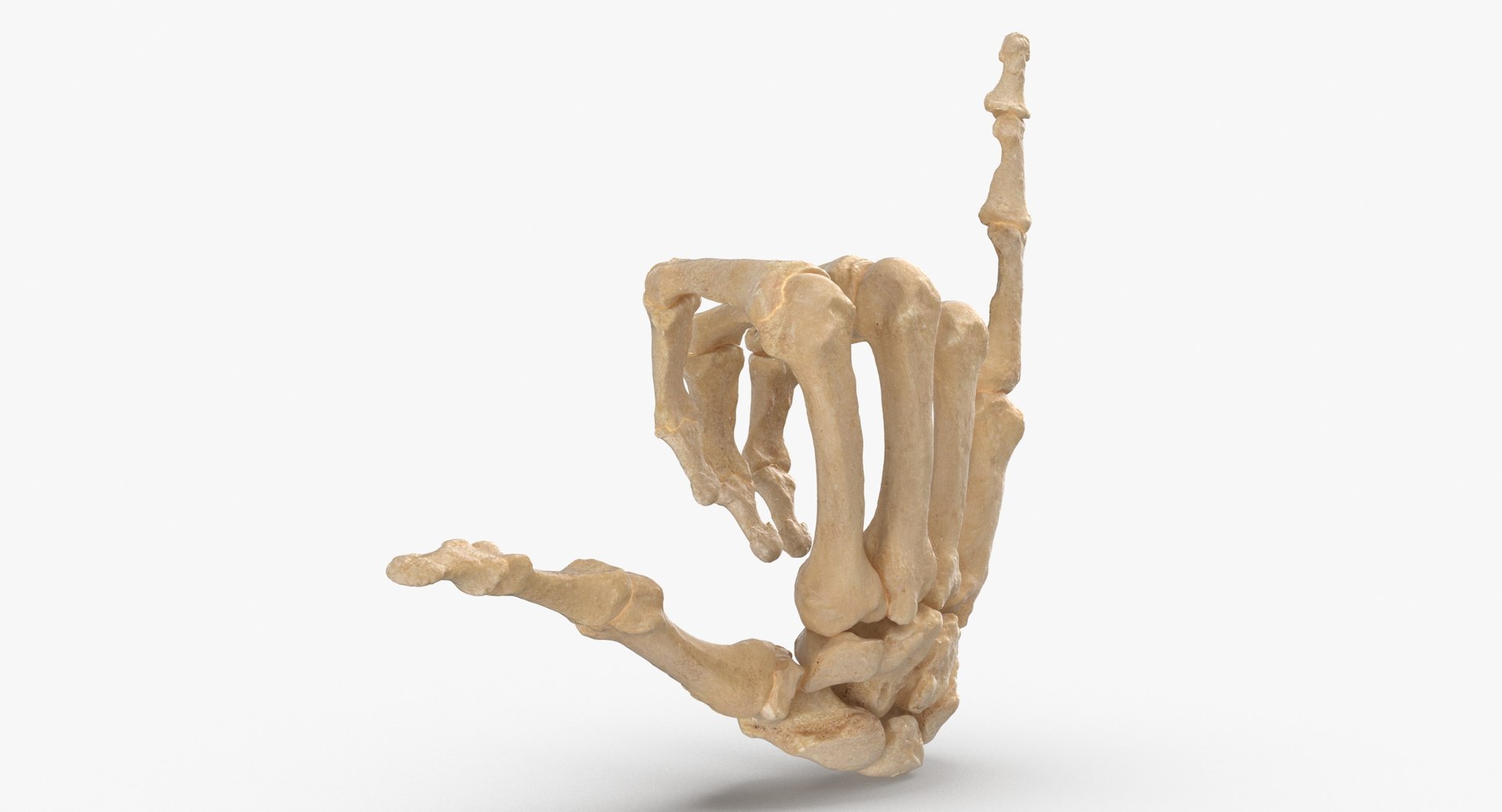 Human Hand Bones Hang Loose Sign White And Yellow Collection 01 - 2 ...