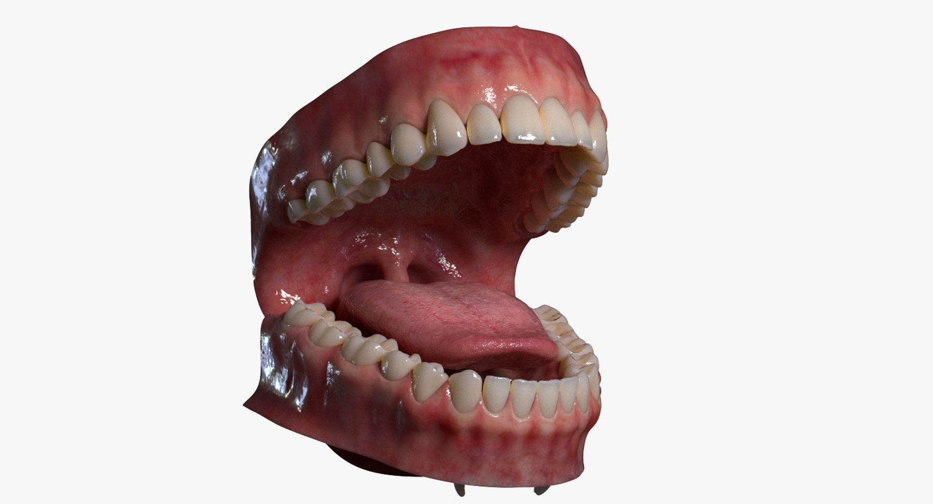 3D Realistic Mouth Rigged - TurboSquid 1279558