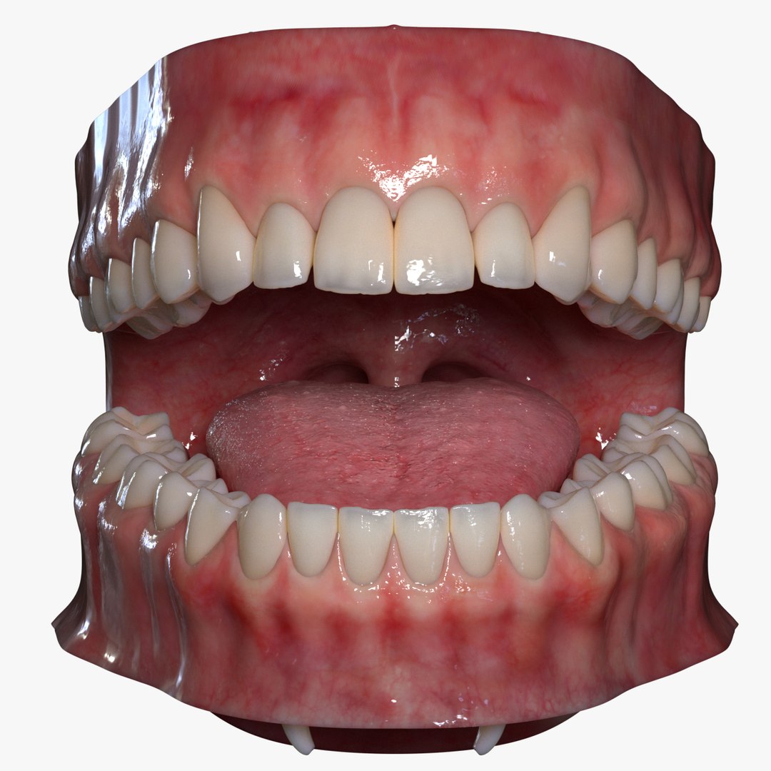 3D Realistic Mouth Rigged - TurboSquid 1279558