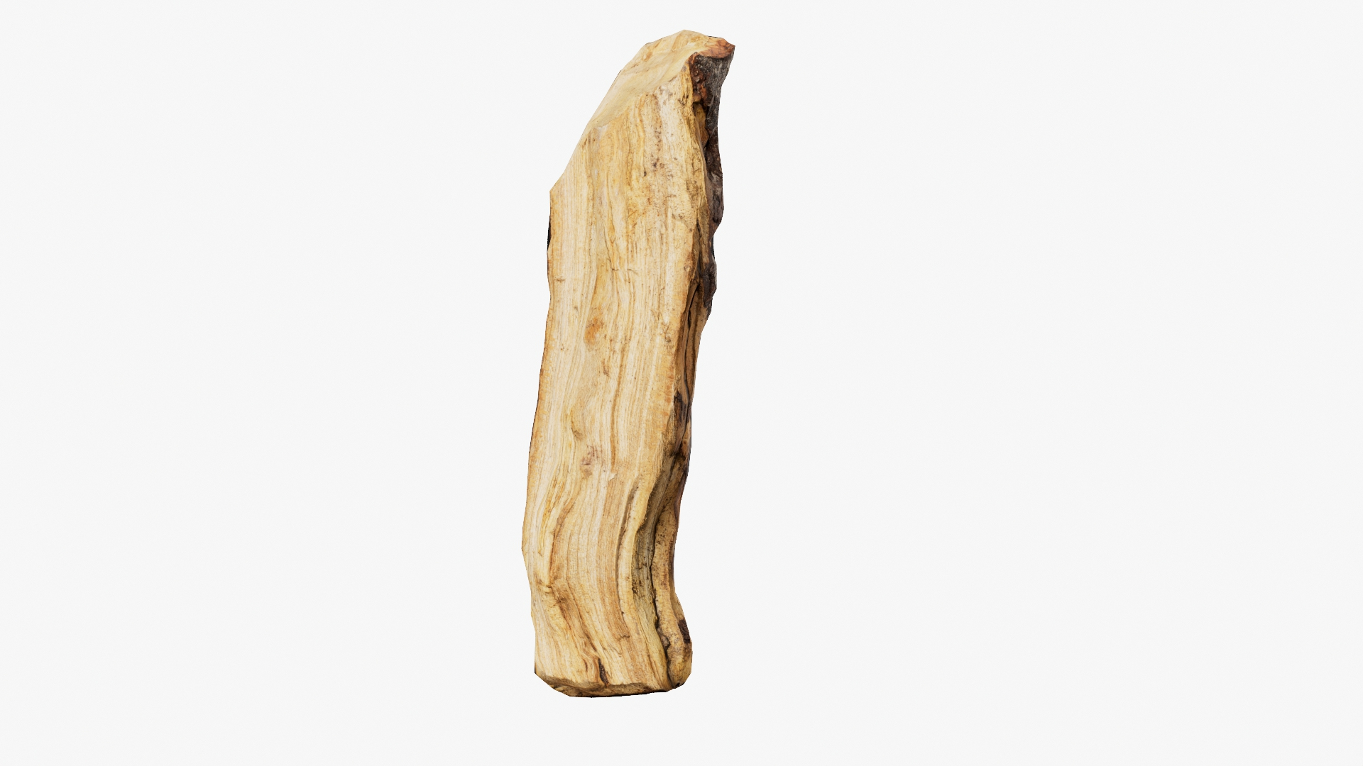 3D Scanned Tree Wood 11 Model - TurboSquid 2414086