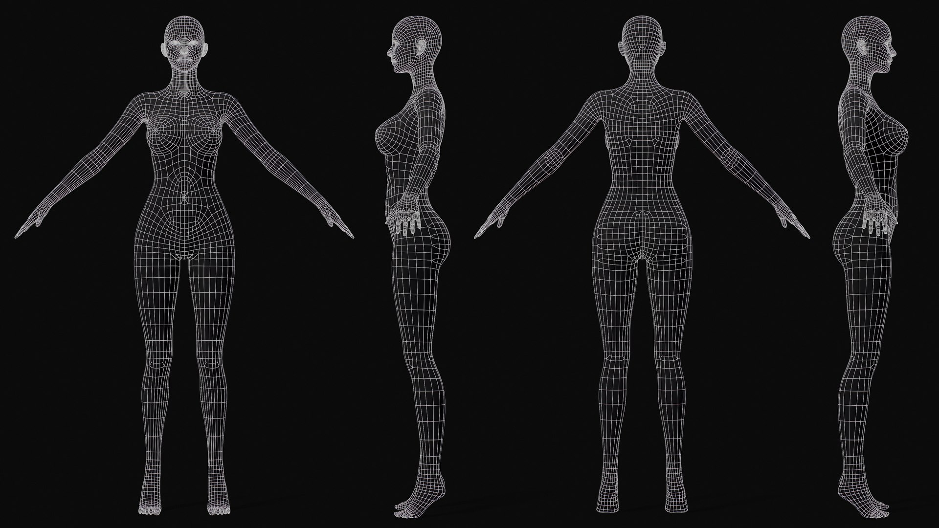 3D Realistic Female Body Base Mesh Model - TurboSquid 2018168