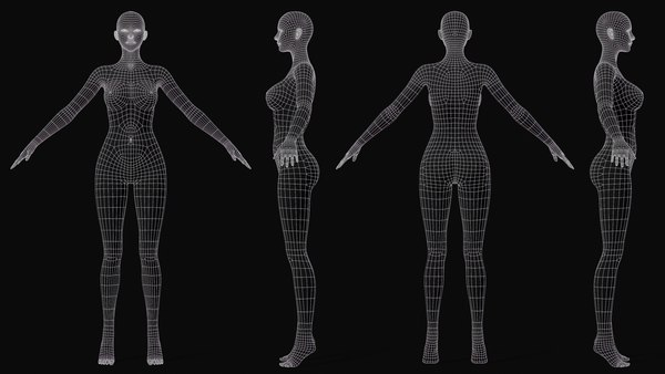 3D модель Реалистичная базовая сетка женского тела - TurboSquid 2018168