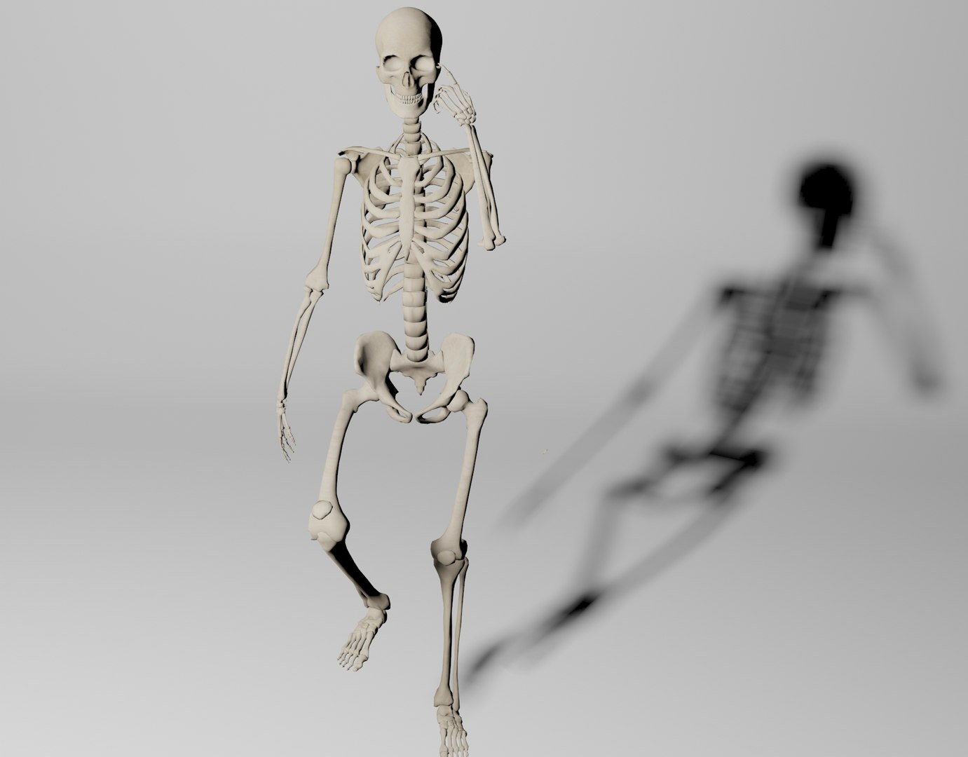 rigged skelet 3d model