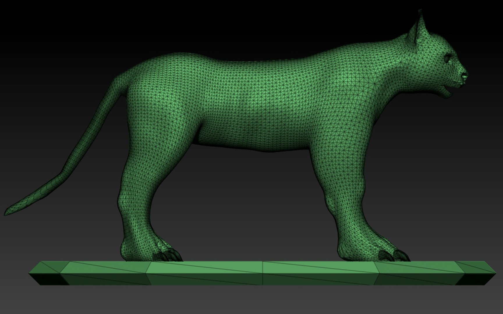 3D Cat Collection - TurboSquid 1825537