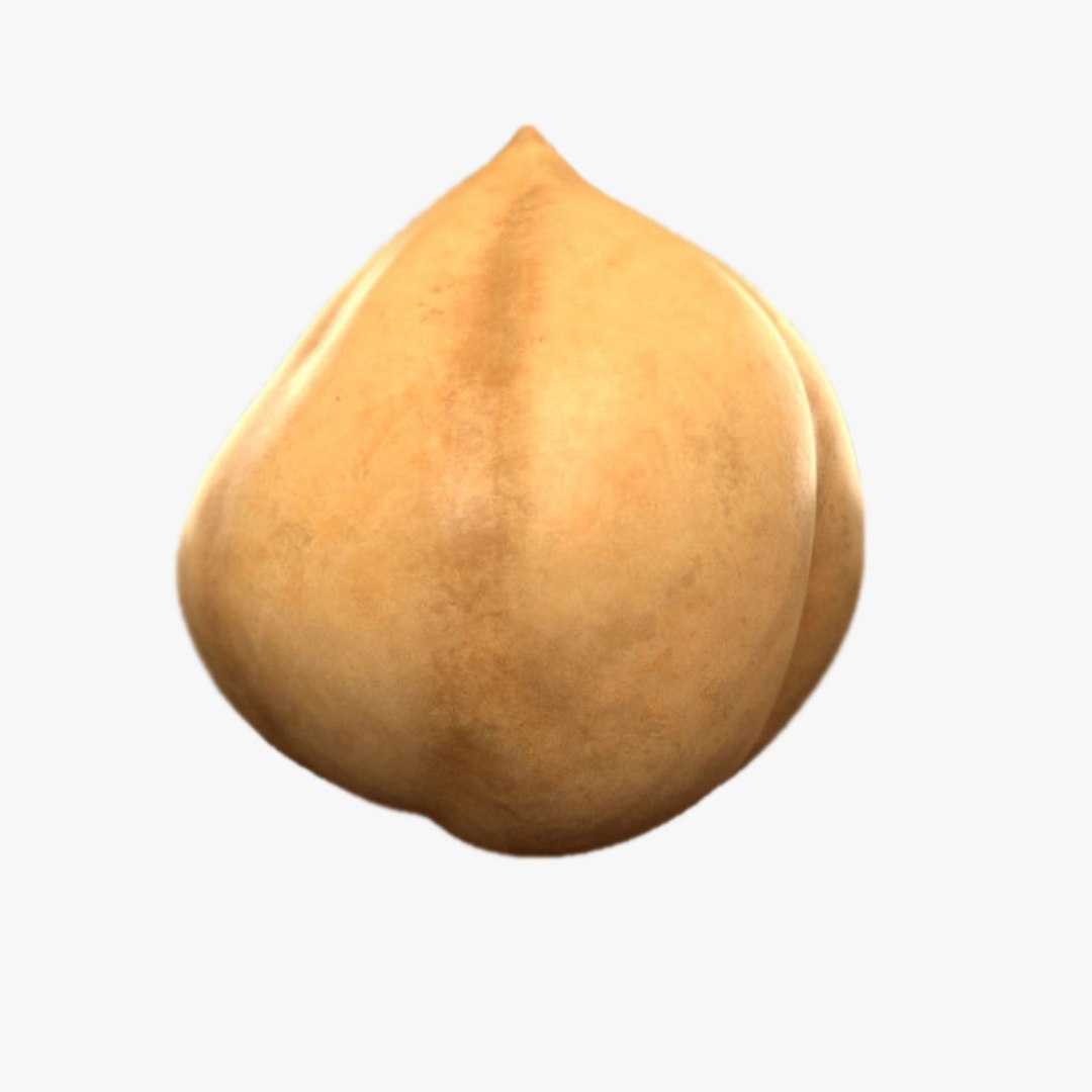 3D Model Hazelnut - TurboSquid 1769964